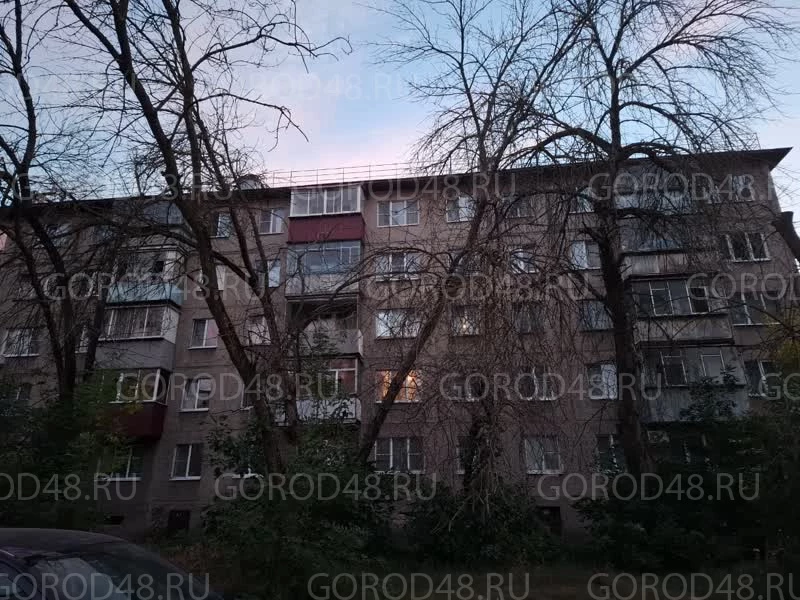 Над детской площадкой нависли сухие деревья